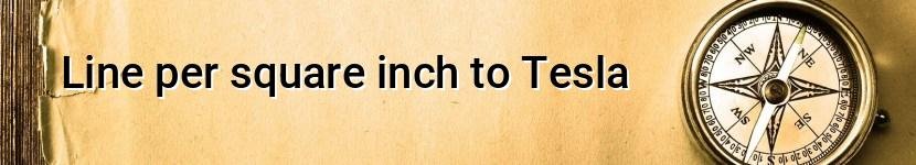 Line Per Square Inch To Tesla Converter| cm2feet.com